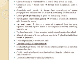 Embryology of Eye | PPTX