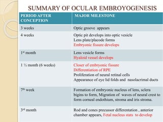 Embryology of Eye | PPTX