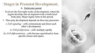 EMBRYOLOGY DEVELOPMENT OF THE HUMAN BODY | PPTX