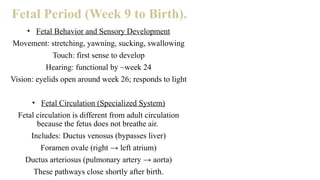EMBRYOLOGY DEVELOPMENT OF THE HUMAN BODY | PPTX