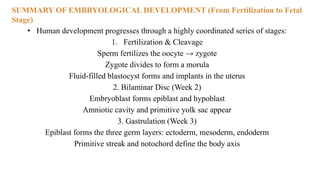 EMBRYOLOGY DEVELOPMENT OF THE HUMAN BODY | PPTX