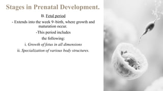 EMBRYOLOGY DEVELOPMENT OF THE HUMAN BODY | PPTX
