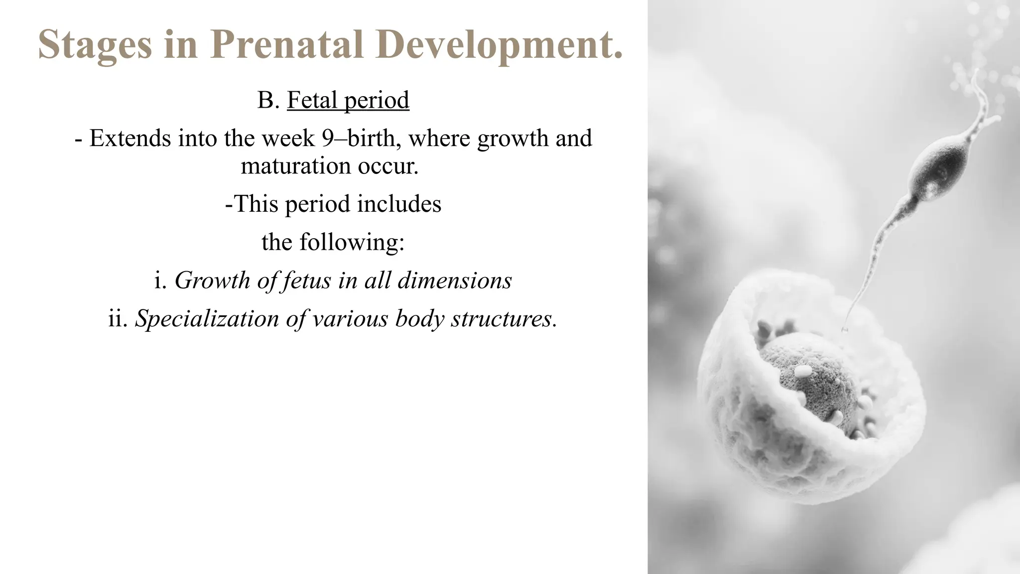 EMBRYOLOGICAL DEVELOPMENT OF THE HUMAN BODY | PPTX