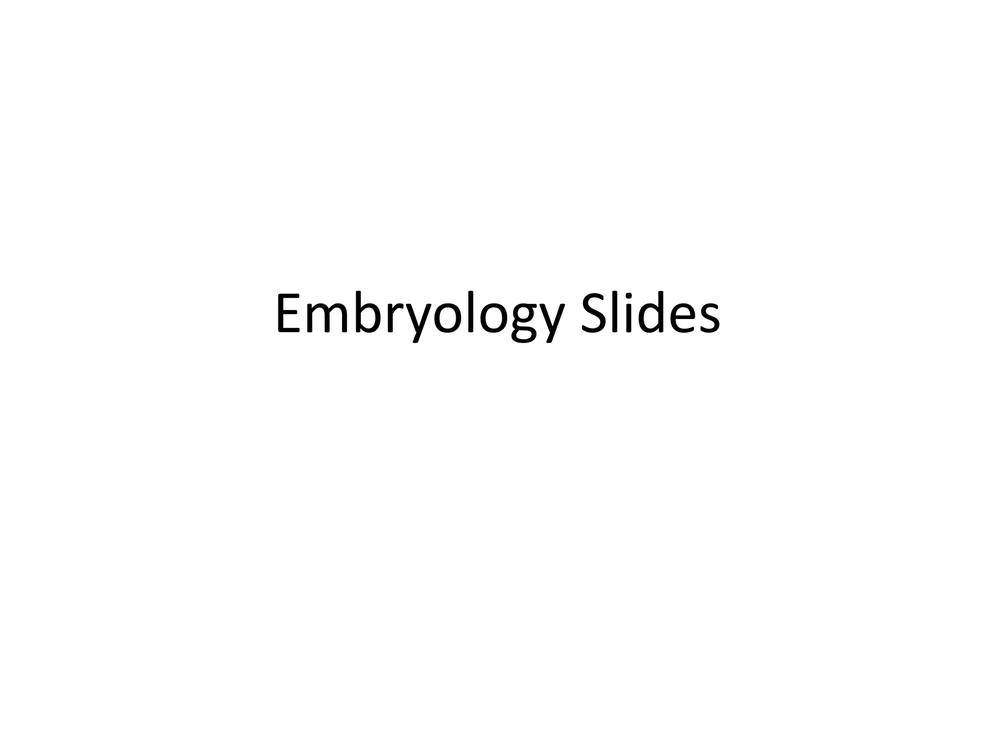histology of Embryology (practical) | PDF