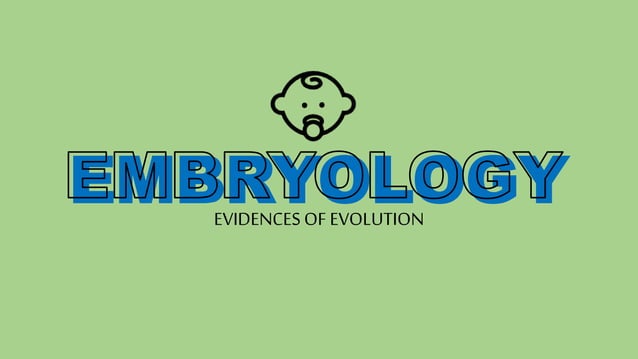 Embryology presentation | PPTX | Biological Sciences | Science
