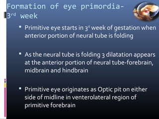 Embryology of human eye | PPT