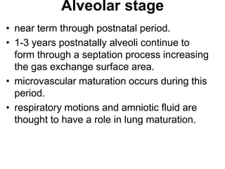 Embryology Respiratory System.ppt