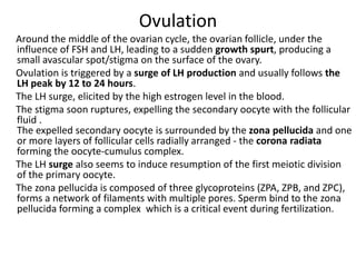 Embryology SCS - Copy.pptx1111111111111111111 | PPTX