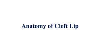 Embryology & Surgical Anatomy of Cleft Lip.pptx