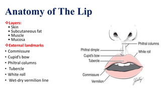 Embryology & Surgical Anatomy of Cleft Lip.pptx