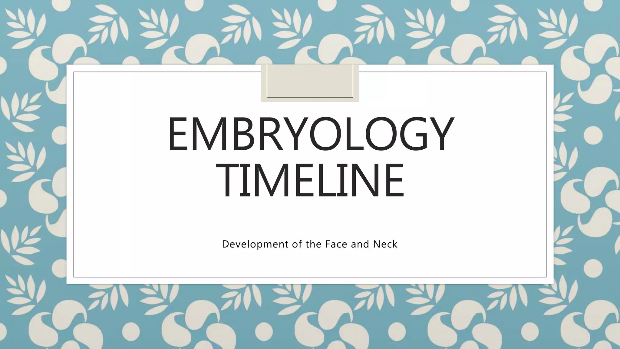 Embryology Timeline | PPTX