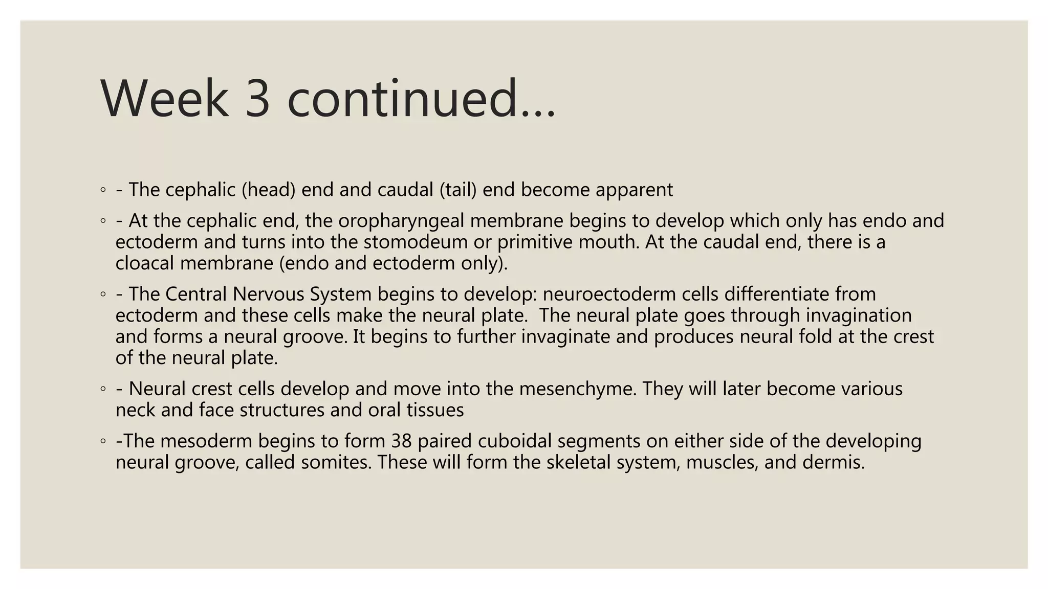 Embryology Timeline | PPTX