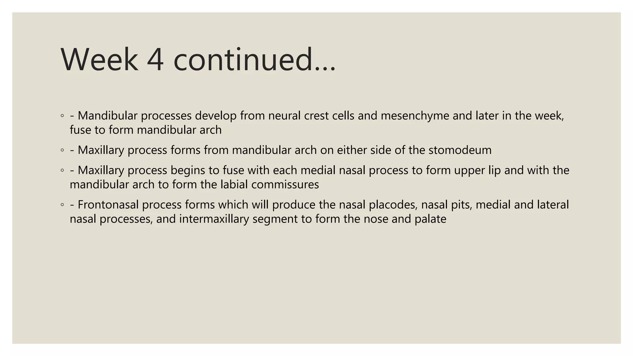 Embryology Timeline | PPTX