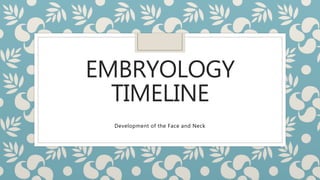Embryology Timeline | PPT
