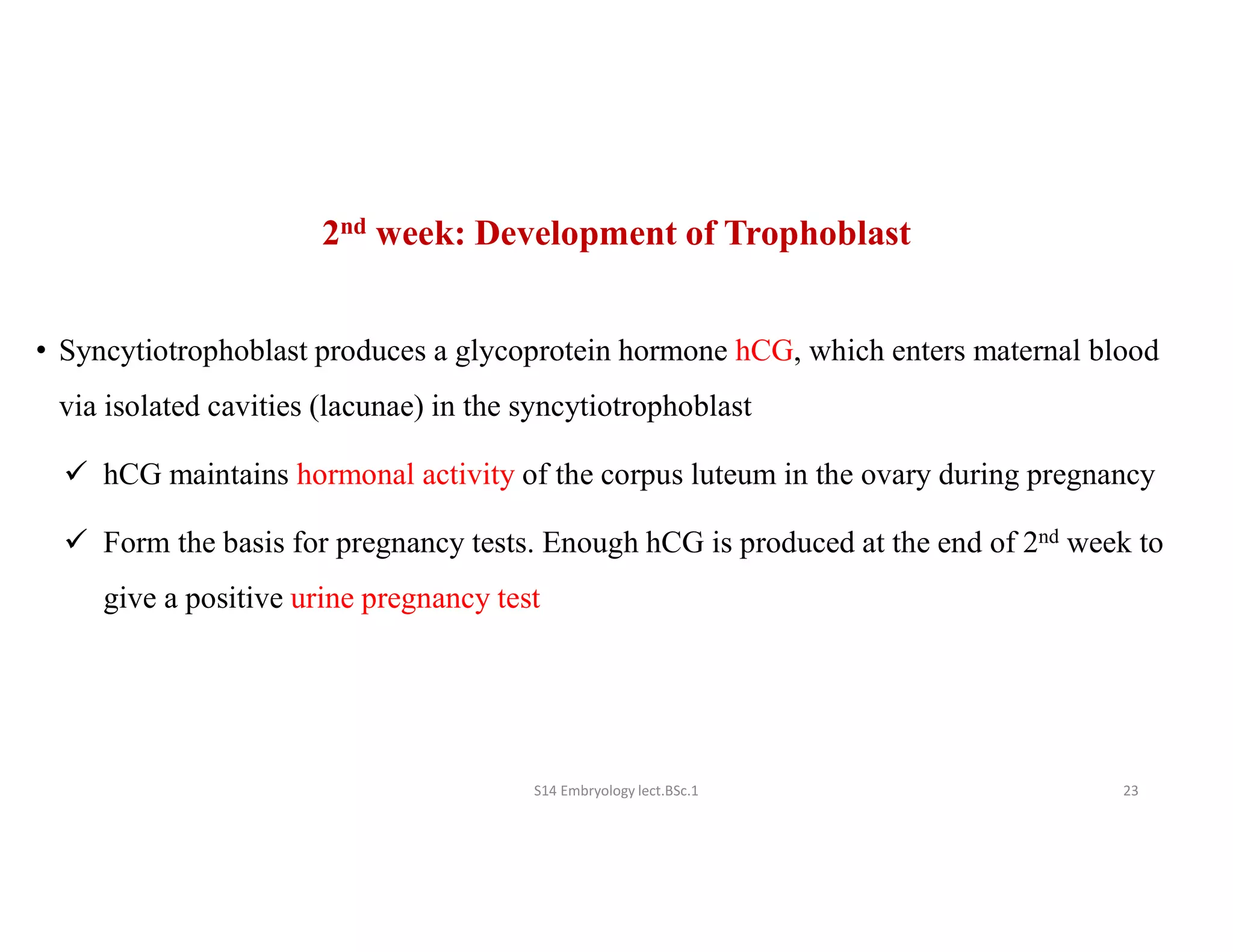 Embryology week 1 to 4 of development.pdf