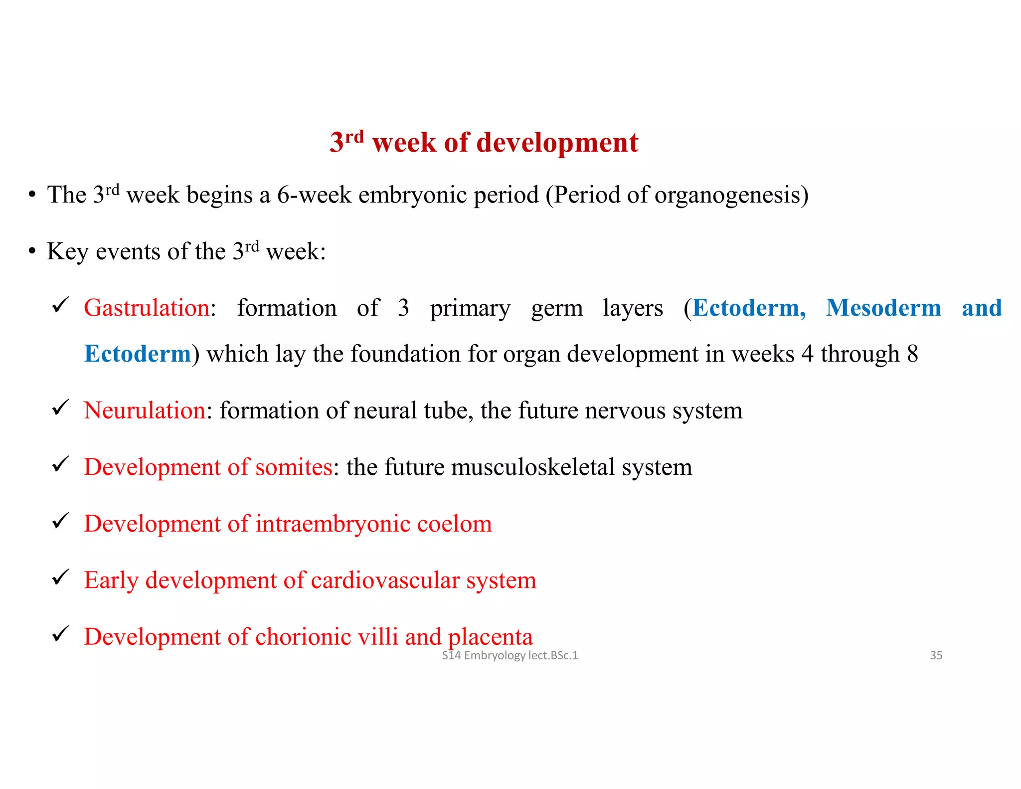 Embryology week 1 to 4 of development.pdf