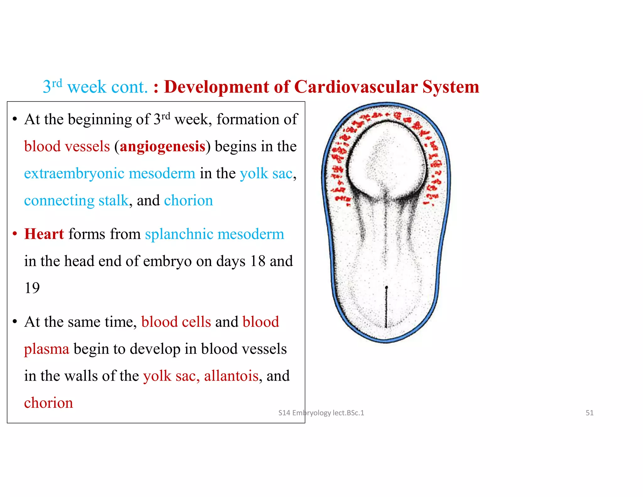 Embryology week 1 to 4 of development.pdf