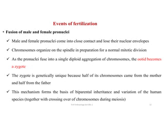 Embryology week 1 to 4 of development.pdf