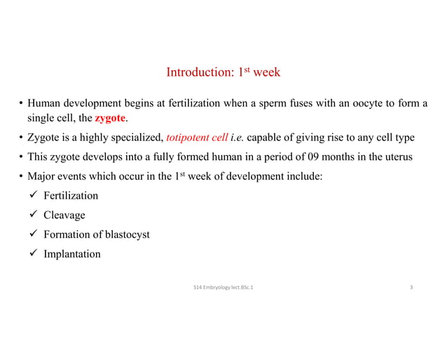 Embryology week 1 to 4 of development.pdf | Infertility | Reproductive ...