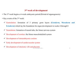 Embryology week 1 to 4 of development.pdf