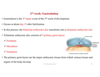 Embryology week 1 to 4 of development.pdf