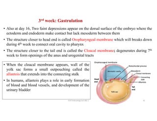 Embryology week 1 to 4 of development.pdf