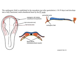 Embryology week 1 to 4 of development.pdf