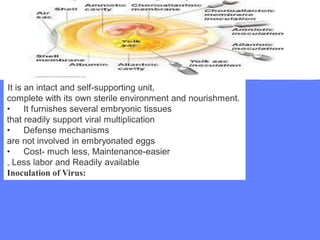 Embryonated chicken egg.pdf