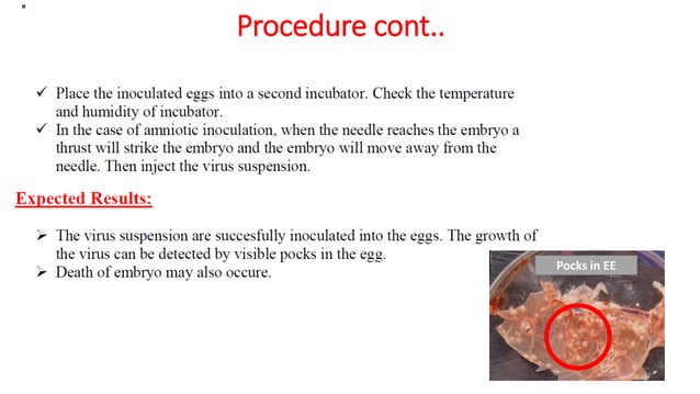 Embryonated egg notes | PDF