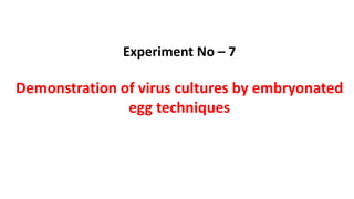 Embryonated egg notes | PPT
