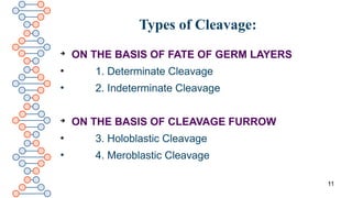 Embryonic-Cell-Division-Cleavage-and-Its-Types.pptx