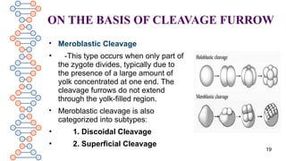 Embryonic-Cell-Division-Cleavage-and-Its-Types.pptx