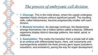 Embryonic-Cell-Division-Cleavage-and-Its-Types.pptx