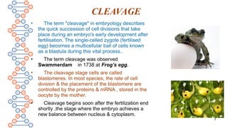 Embryonic-Cell-Division-Cleavage-and-Its-Types.pptx