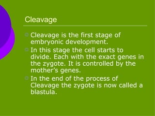 Embryonic Development | PPT