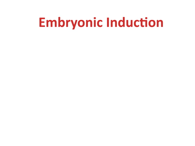 embryonic-induction.pdf | Biological Sciences | Science