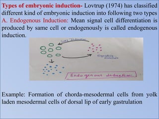 embryonic-induction.pdf