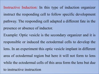 embryonic-induction.pdf