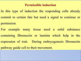 embryonic-induction.pdf
