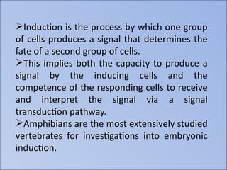 embryonic-induction.pdf