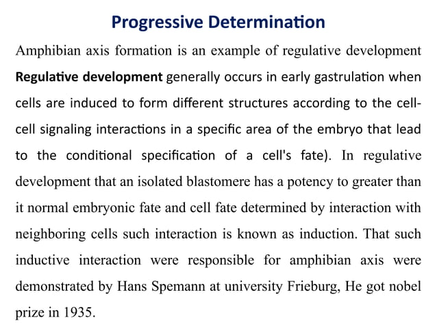 embryonic-induction.pdf | Biological Sciences | Science