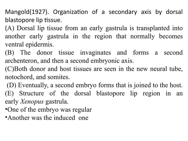embryonic-induction.pdf | Biological Sciences | Science