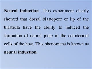 embryonic-induction.pdf
