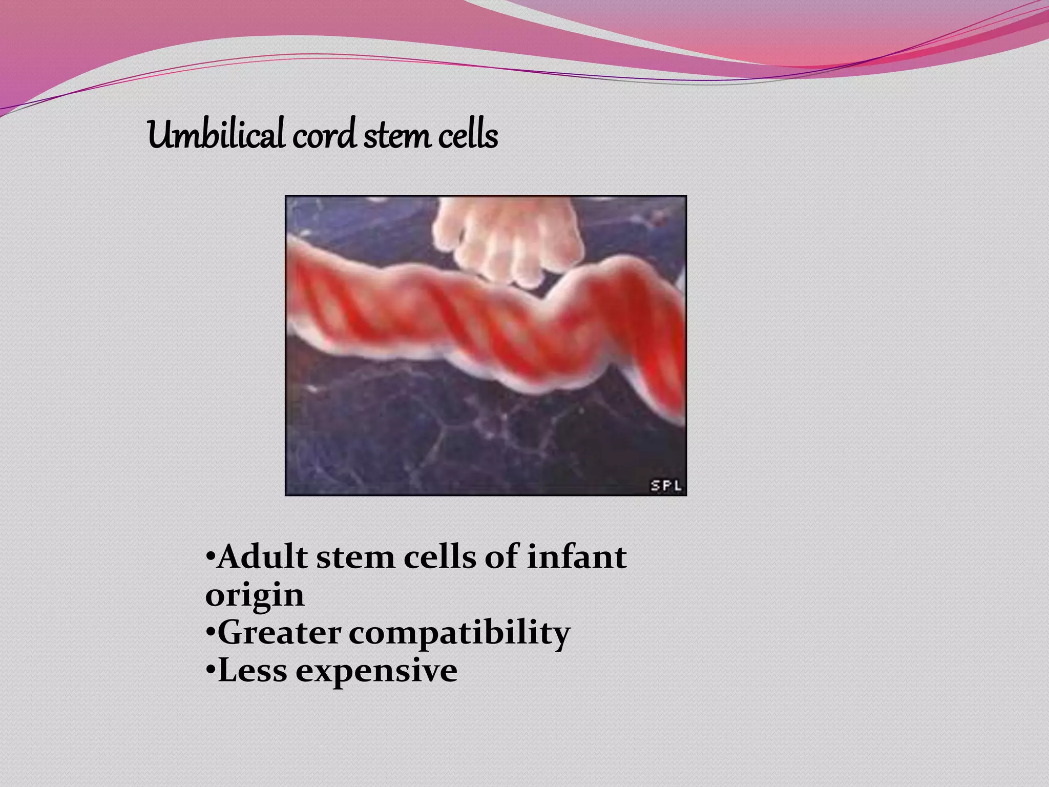 Embryonic stem culture | PPTX