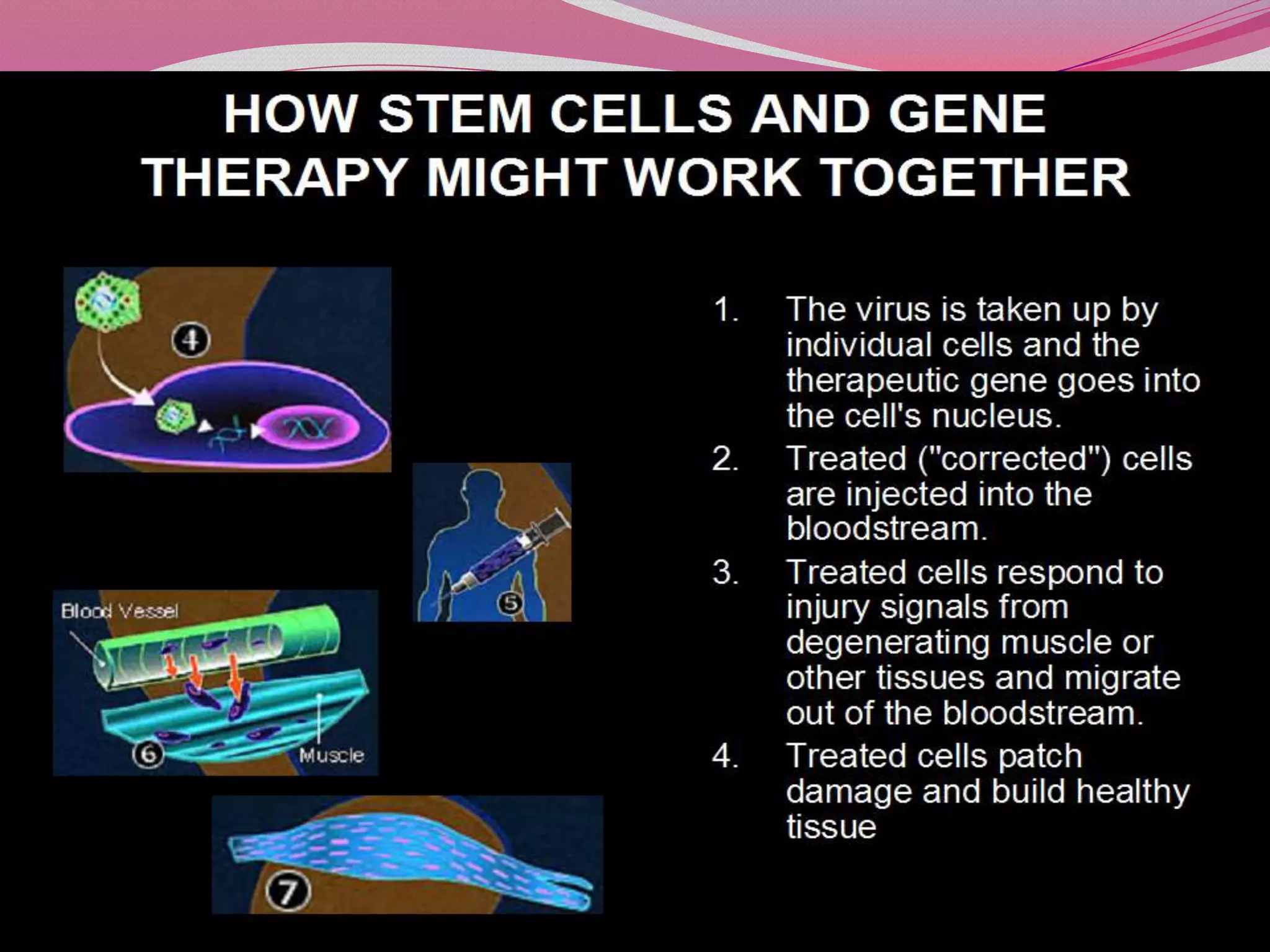 Embryonic stem culture | PPTX