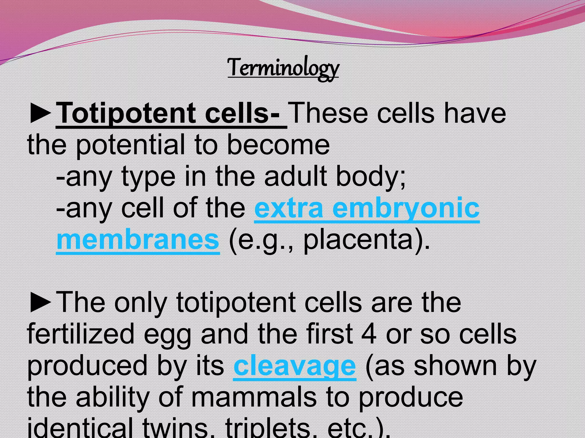 Embryonic stem culture | PPTX