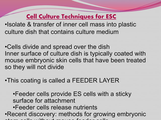 Embryonic stem culture | PPTX