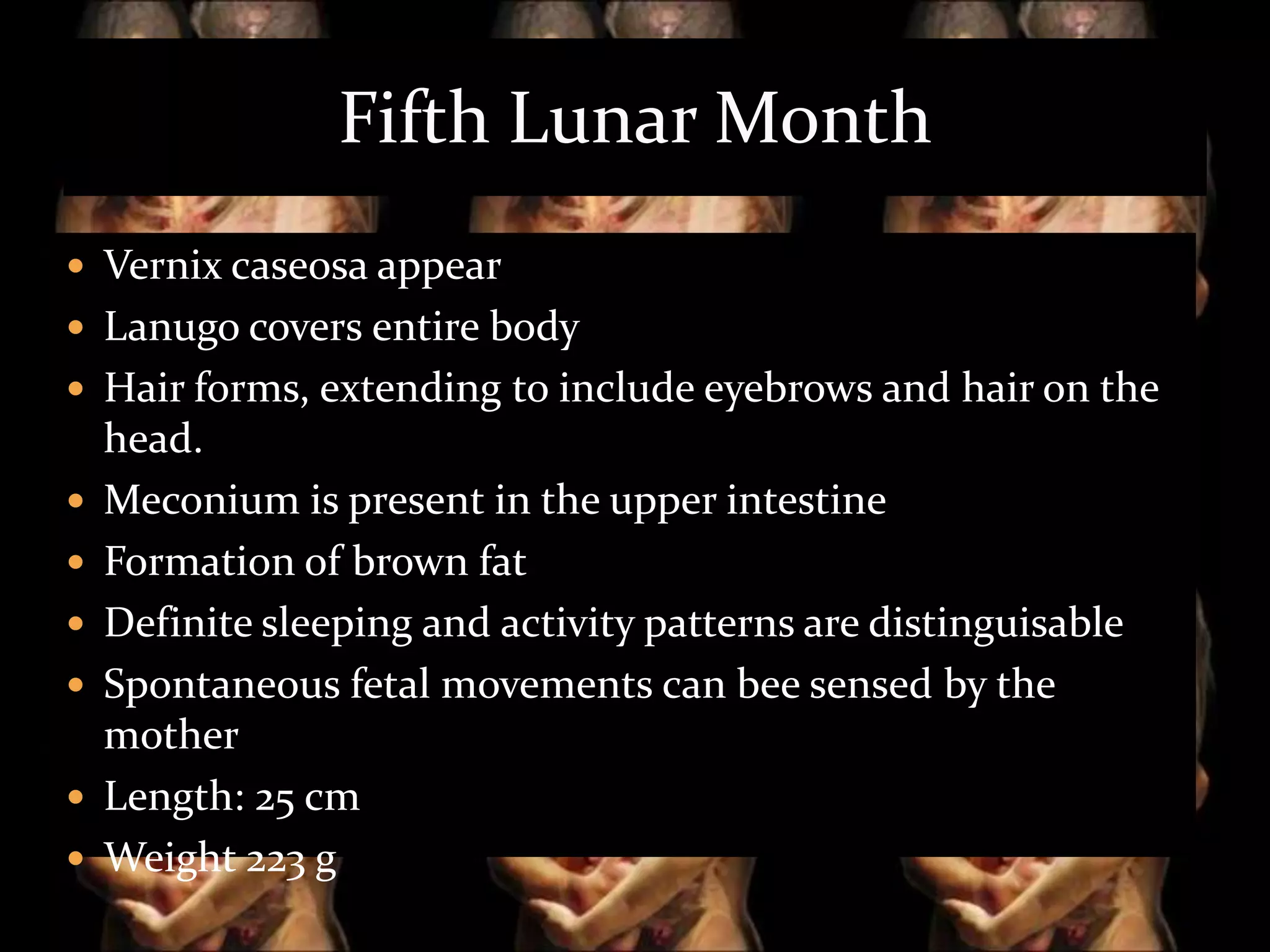 Embryonic and fetal growth and development | PPTX