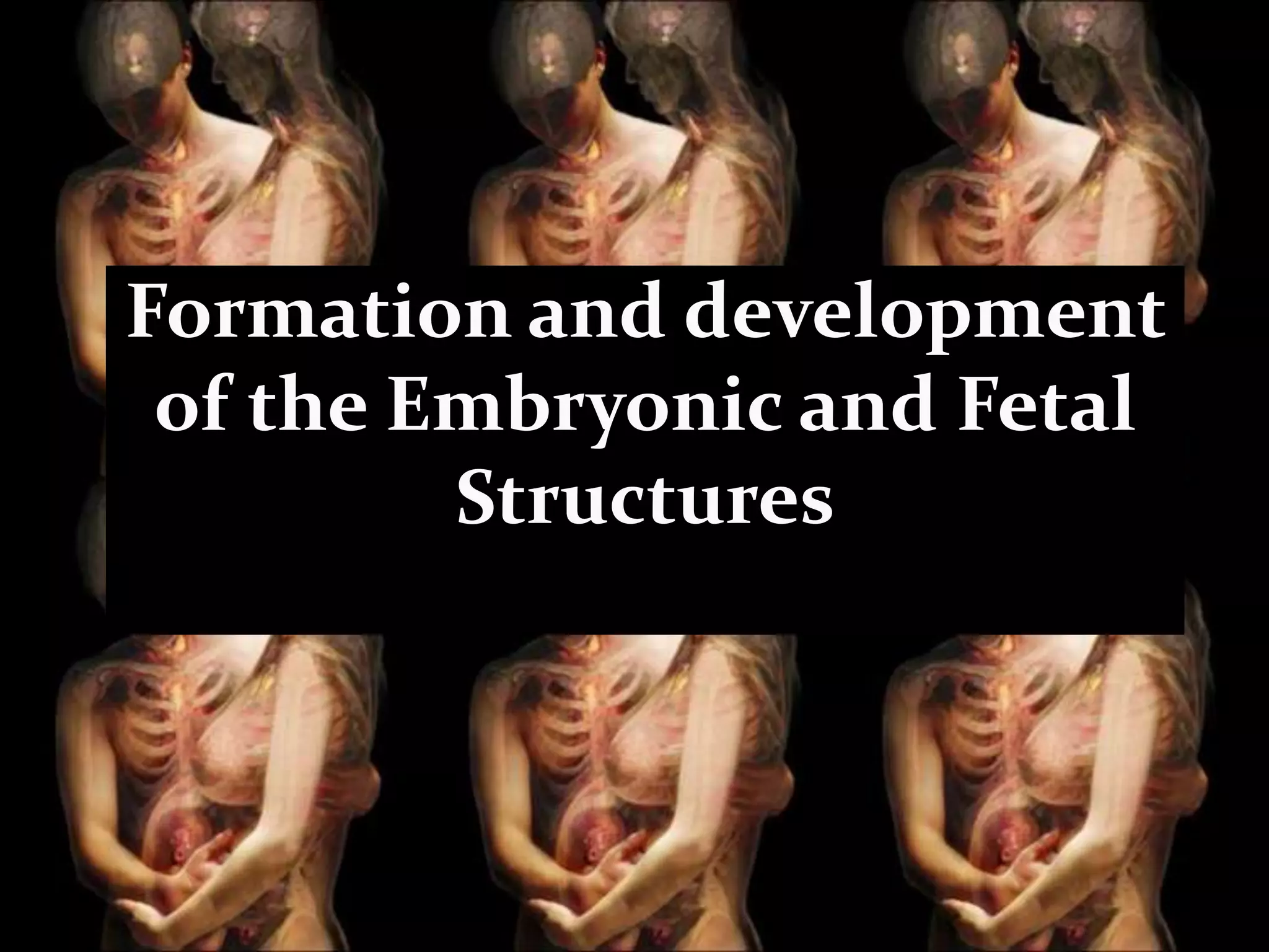 Embryonic and fetal growth and development | PPTX
