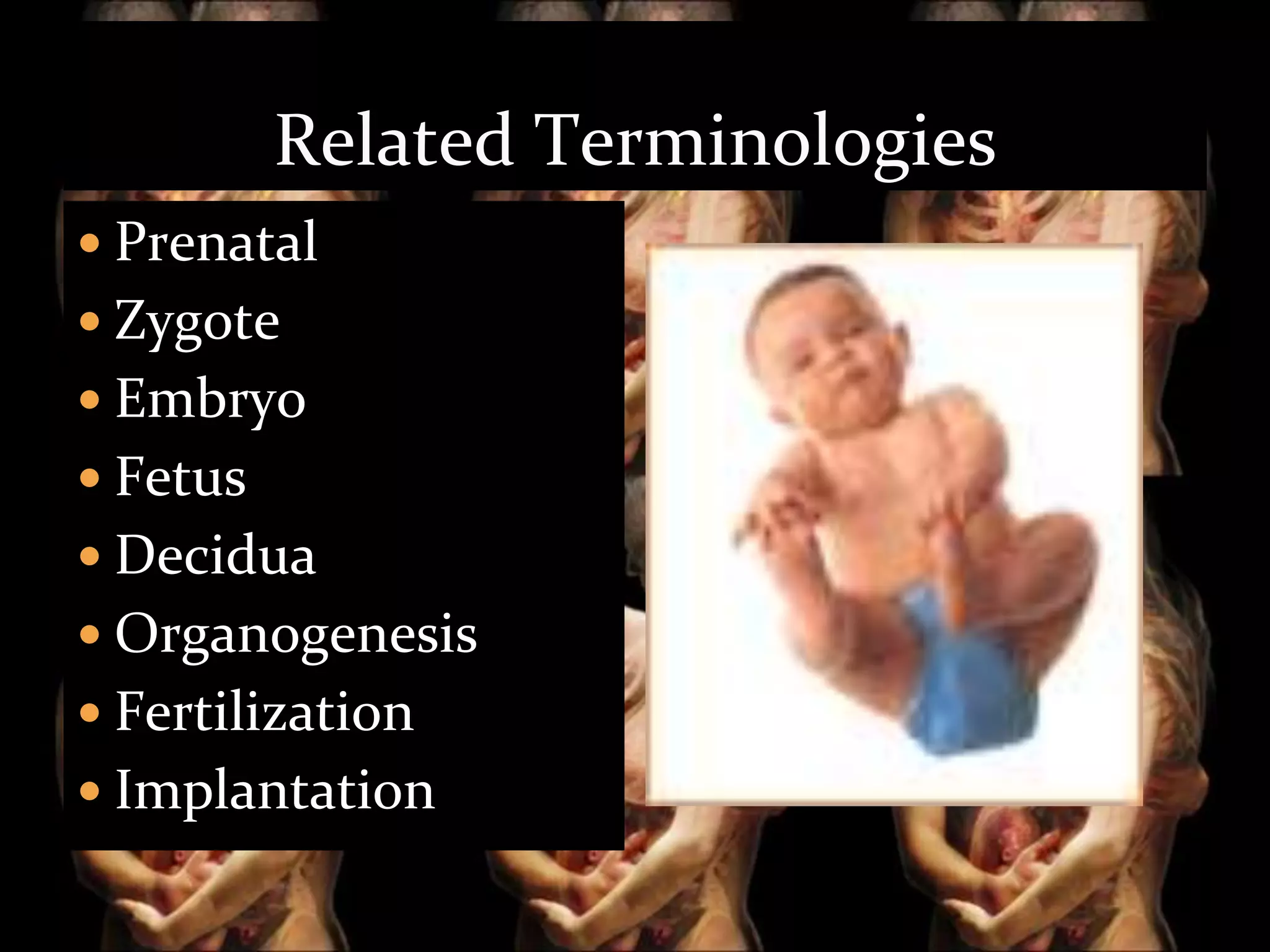 Embryonic and fetal growth and development | PPTX